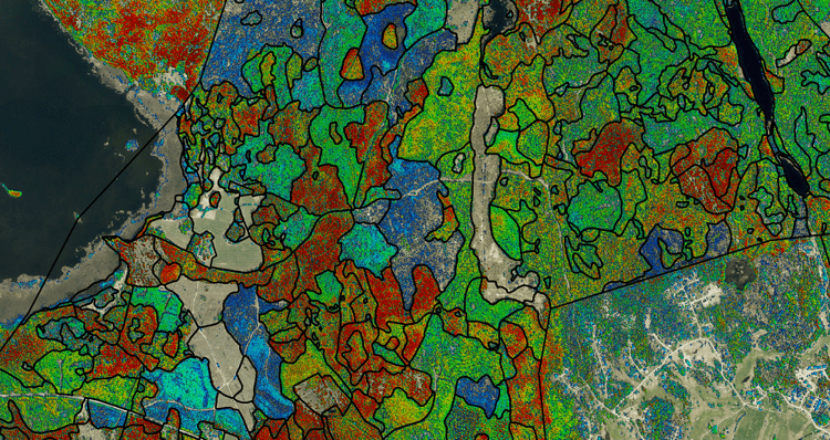 Forestry plans - Field